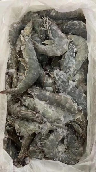 冻青虾怎么做好吃_冻青虾的家常做法大全-第2张图片-山城妙识