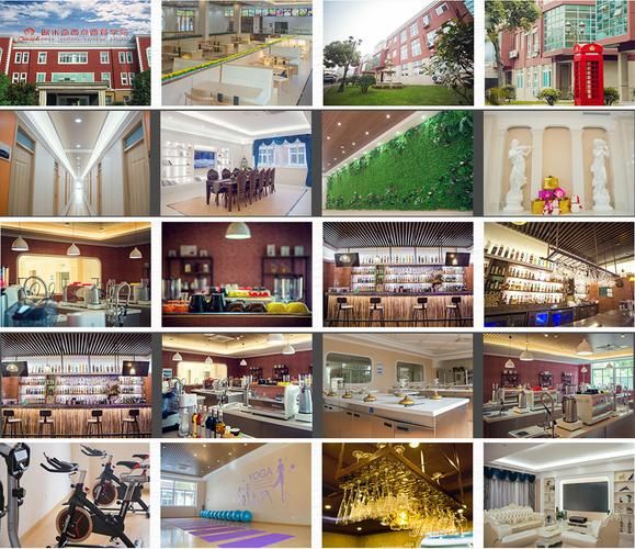 欧米奇学校可靠吗_欧米奇西点学校靠谱吗-第3张图片-山城妙识