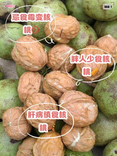 吃核桃的禁忌_哪些人不能吃核桃-第2张图片-山城妙识