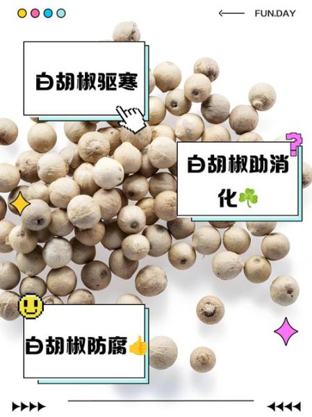 白胡椒的功效与作用_白胡椒和胡椒的区别-第1张图片-山城妙识