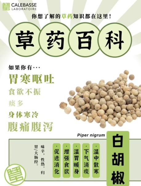 白胡椒的功效与作用_白胡椒和胡椒的区别-第2张图片-山城妙识