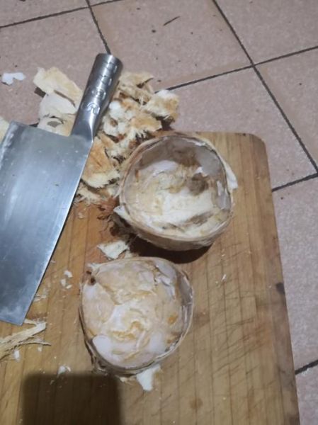 椰子怎么打开_椰子壳怎么切图解-第3张图片-山城妙识