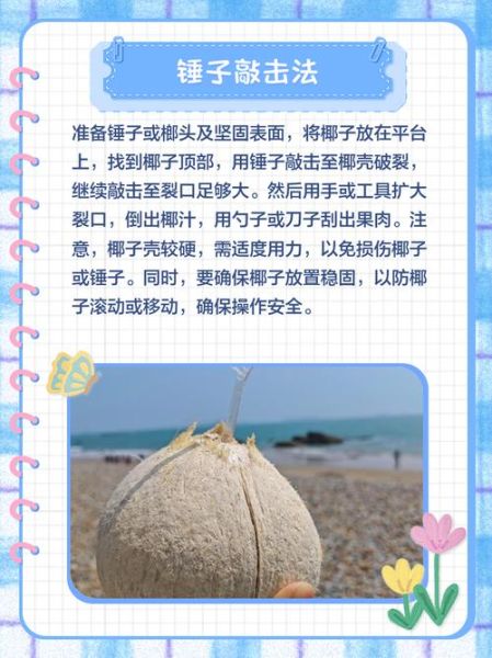 椰子怎么打开_椰子壳怎么切图解-第2张图片-山城妙识