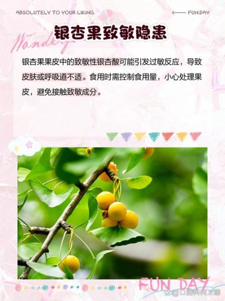 白果中毒怎么办_白果中毒急救方法-第3张图片-山城妙识