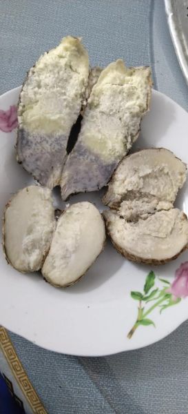 芋艿读音是什么_芋艿怎么读才标准-第3张图片-山城妙识