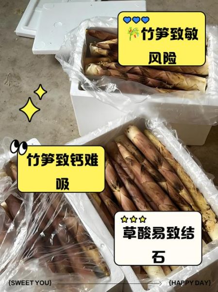 竹笋的功效与作用_竹笋的副作用有哪些-第1张图片-山城妙识 竹笋的功效与作用_竹笋的副作用有哪些-第1张图片-山城妙识