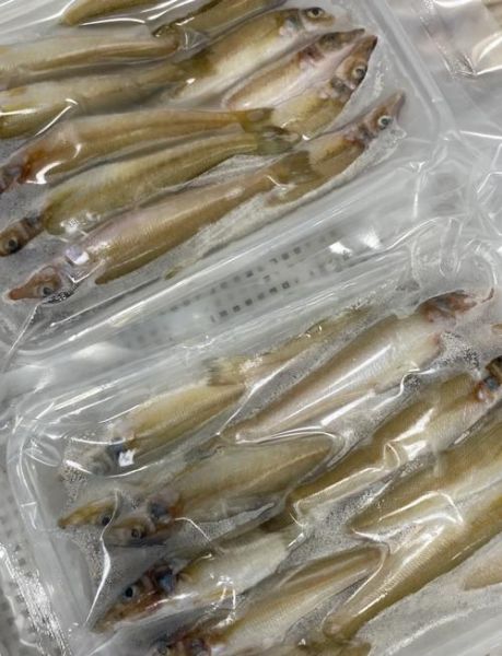 沙丁鱼和鲭鱼哪个营养价值高_孕妇吃哪种更好-第2张图片-山城妙识 沙丁鱼和鲭鱼哪个营养价值高_孕妇吃哪种更好-第2张图片-山城妙识