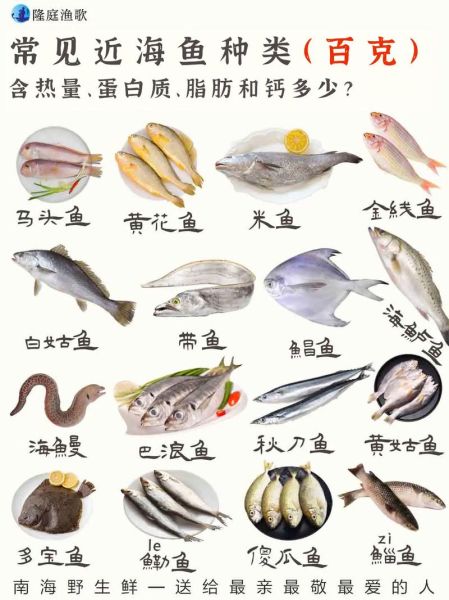 常见海鱼种类有哪些_如何挑选新鲜海鱼-第2张图片-山城妙识