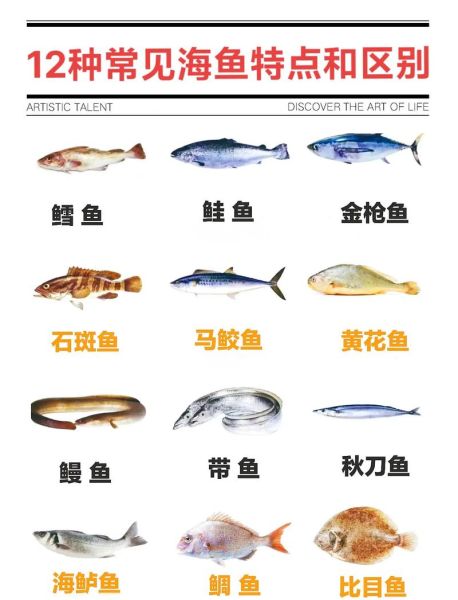 常见海鱼种类有哪些_如何挑选新鲜海鱼-第3张图片-山城妙识