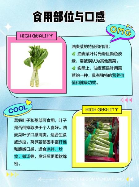 莴苣和莴笋怎么辨认_莴苣和莴笋的区别在哪里-第1张图片-山城妙识