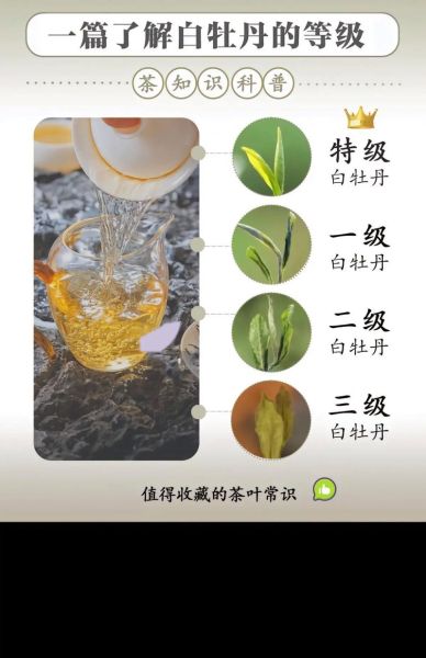 牡丹花茶的功效与禁忌_适合什么人喝-第3张图片-山城妙识