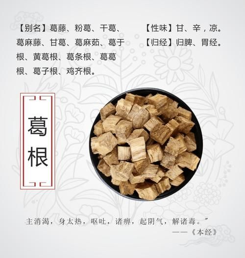 葛根图片长什么样_葛根的作用与功效有哪些-第1张图片-山城妙识