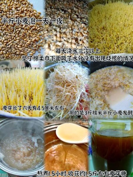 麦芽糖的制作方法_麦芽糖怎么熬才金黄粘稠-第2张图片-山城妙识 麦芽糖的制作方法_麦芽糖怎么熬才金黄粘稠-第2张图片-山城妙识