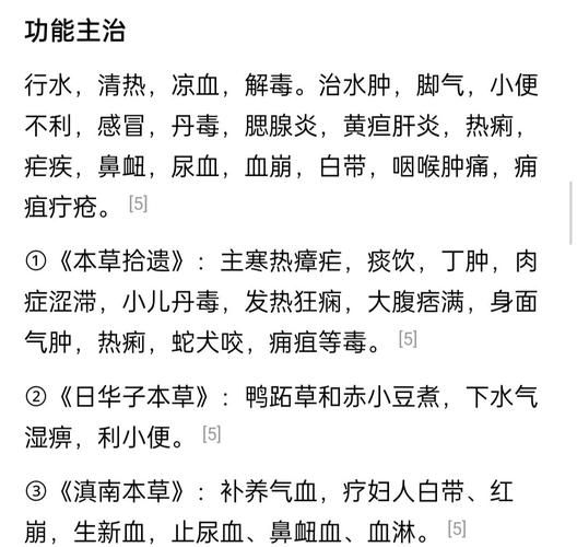 竹叶菜的功效与作用_竹叶菜是发物吗-第1张图片-山城妙识 竹叶菜的功效与作用_竹叶菜是发物吗-第1张图片-山城妙识