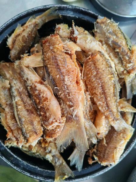 豆豉鲮鱼是什么鱼_豆豉鲮鱼是海鱼还是淡水鱼-第2张图片-山城妙识