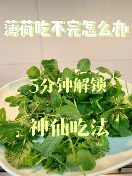 薄荷怎么吃最好_薄荷的吃法与禁忌-第2张图片-山城妙识
