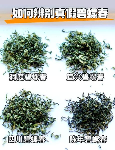 绿茶有哪些品种_如何区分龙井碧螺春-第1张图片-山城妙识 绿茶有哪些品种_如何区分龙井碧螺春-第1张图片-山城妙识