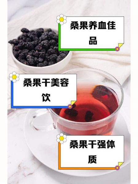 什么人不能吃桑葚干_桑葚干禁忌人群-第1张图片-山城妙识