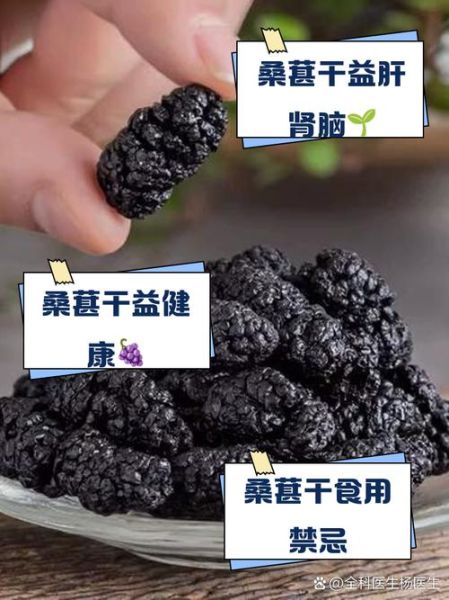 什么人不能吃桑葚干_桑葚干禁忌人群-第2张图片-山城妙识