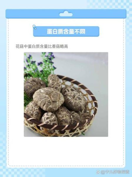 香菇和花菇有什么区别_花菇的功效与作用-第2张图片-山城妙识 香菇和花菇有什么区别_花菇的功效与作用-第2张图片-山城妙识