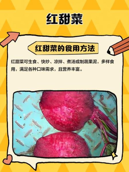甜菜红的作用与危害_孕妇能吃吗-第3张图片-山城妙识