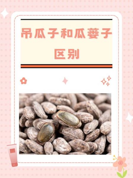 吊瓜子怎么种_吊瓜子种植栽培方法-第1张图片-山城妙识 吊瓜子怎么种_吊瓜子种植栽培方法-第1张图片-山城妙识