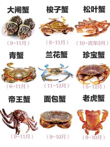 螃蟹吃什么东西_家养螃蟹喂什么-第3张图片-山城妙识 螃蟹吃什么东西_家养螃蟹喂什么-第3张图片-山城妙识
