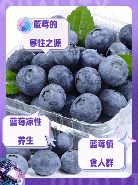蓝莓是热性还是凉性_吃蓝莓会上火吗-第2张图片-山城妙识