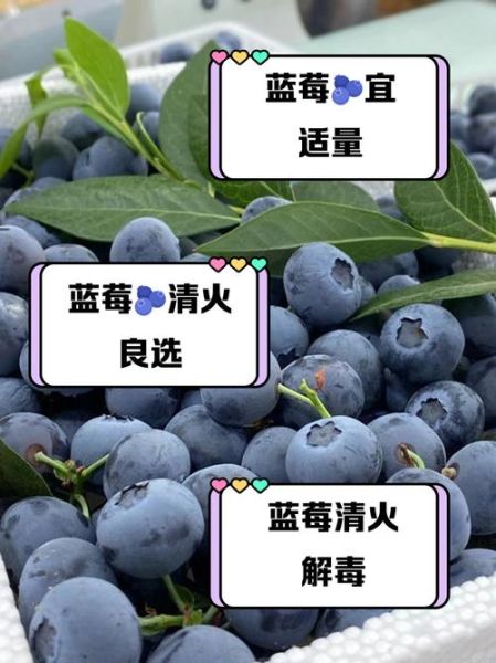 蓝莓是热性还是凉性_吃蓝莓会上火吗-第3张图片-山城妙识