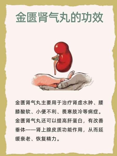 金匮肾气丸的功效与作用_金匮肾气丸适合哪些人-第3张图片-山城妙识