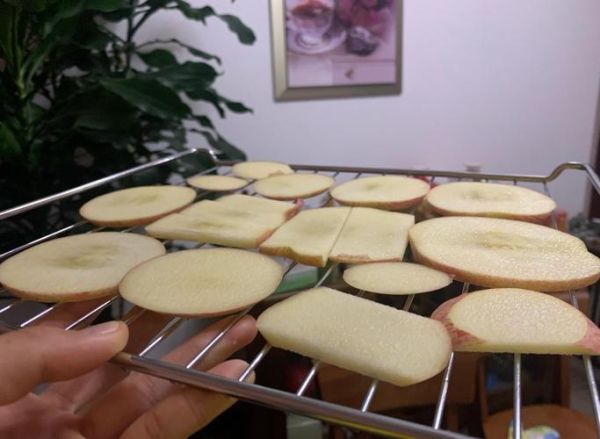 苹果干烤箱做法_苹果干烤箱温度时间-第1张图片-山城妙识