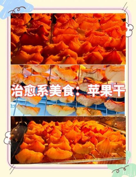 苹果干烤箱做法_苹果干烤箱温度时间-第3张图片-山城妙识
