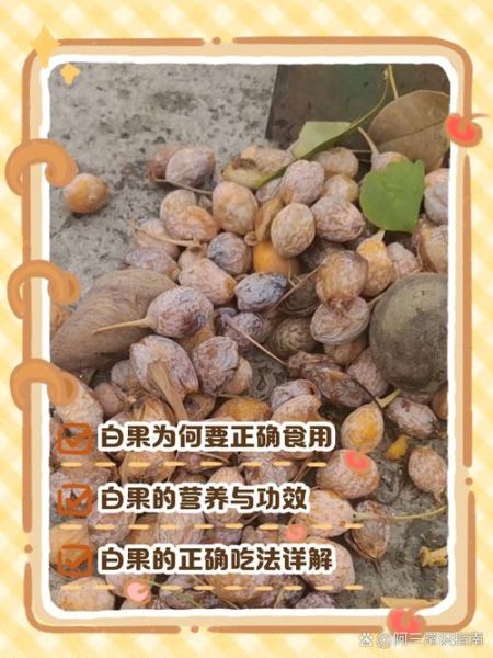 白果怎么吃_白果食用方法大全-第2张图片-山城妙识