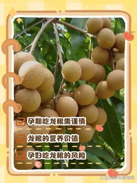 38周吃桂圆会流产吗_孕晚期吃桂圆安全吗-第2张图片-山城妙识