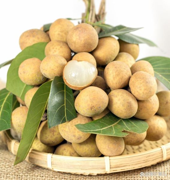 38周吃桂圆会流产吗_孕晚期吃桂圆安全吗-第1张图片-山城妙识