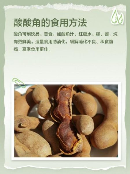 酸角图片的功效与作用_酸角怎么吃最好-第3张图片-山城妙识 酸角图片的功效与作用_酸角怎么吃最好-第3张图片-山城妙识
