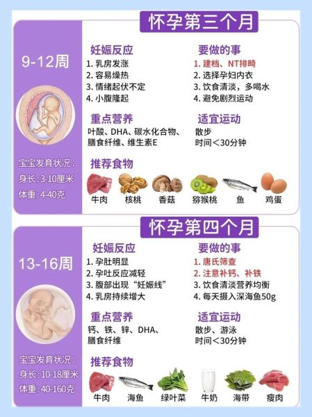 刚怀孕一个月吃什么最好_孕妇饮食禁忌-第2张图片-山城妙识