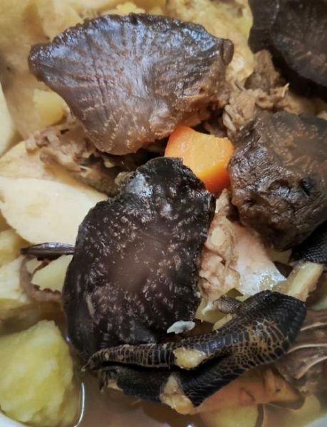 肉苁蓉怎么吃最简单_肉苁蓉最简单的吃法-第1张图片-山城妙识