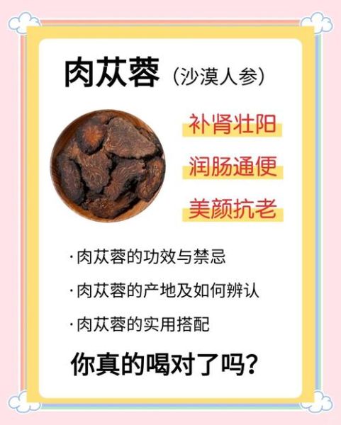 肉苁蓉怎么吃最简单_肉苁蓉最简单的吃法-第3张图片-山城妙识