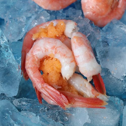 北极虾多少钱一斤_北极虾价格为什么波动这么大-第1张图片-山城妙识