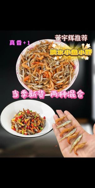 小鱼小虾怎么养_小鱼小虾能一起养吗-第1张图片-山城妙识 小鱼小虾怎么养_小鱼小虾能一起养吗-第1张图片-山城妙识