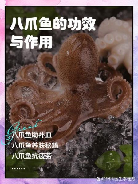 八爪鱼的营养价值_八爪鱼的功效与作用-第1张图片-山城妙识