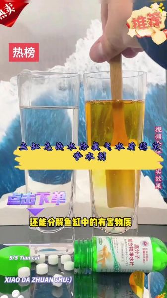 小鱼小虾怎么养_小鱼小虾能一起养吗-第2张图片-山城妙识 小鱼小虾怎么养_小鱼小虾能一起养吗-第2张图片-山城妙识