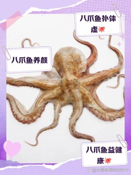 八爪鱼的营养价值_八爪鱼的功效与作用-第2张图片-山城妙识
