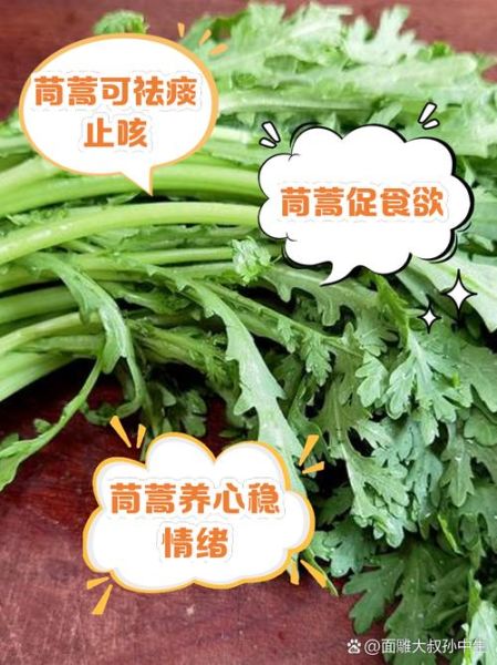 茼蒿的功效与作用及食用方法_茼蒿怎么吃最营养-第3张图片-山城妙识