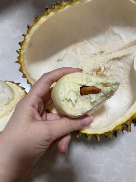 榴莲肉一半软一半硬_还能吃吗-第1张图片-山城妙识