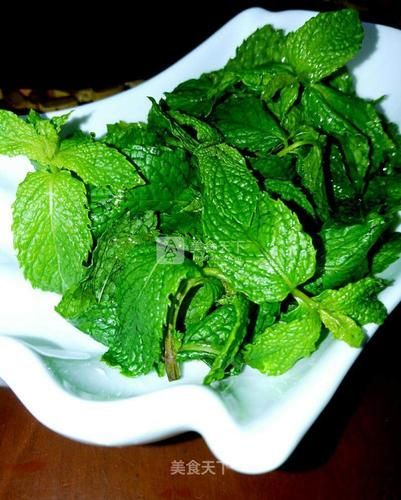 薄荷怎么吃_薄荷的吃法图片大全-第1张图片-山城妙识