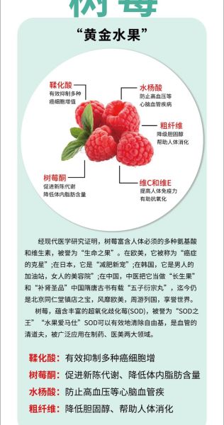 树莓的营养价值_树莓的功效与作用-第1张图片-山城妙识