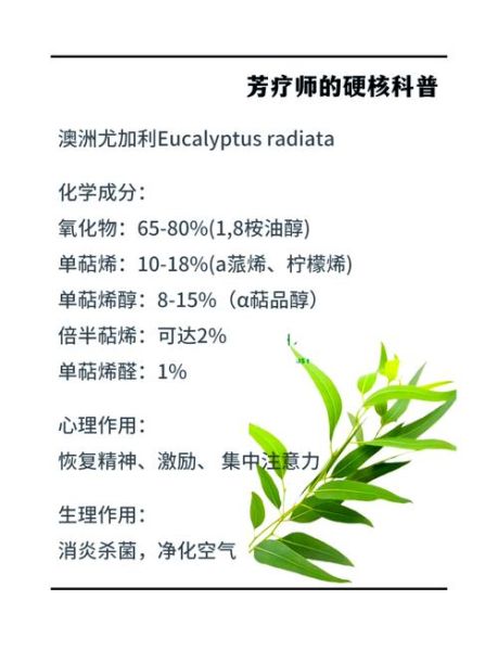 尤加利精油怎么用_尤加利精油的功效与作用-第1张图片-山城妙识