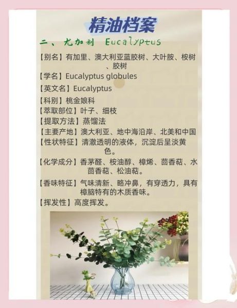 尤加利精油怎么用_尤加利精油的功效与作用-第2张图片-山城妙识